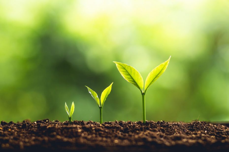 Reconocimiento de la Fertilidad Metodos Naturales PFN RENAFER